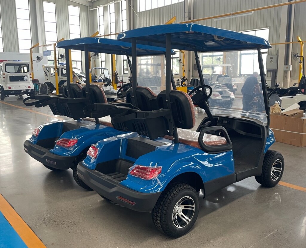 Sneak Preview of New Buggies - Arriving in circa 6 weeks! - Princes ...